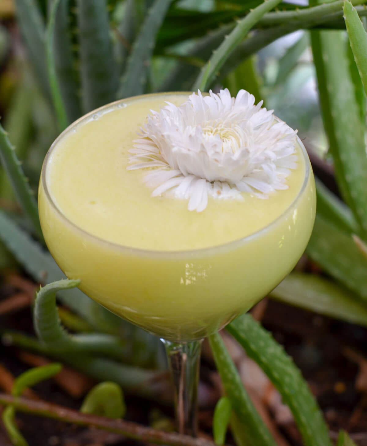 5 Must Mix Cocktails Created by Celebrity Chef Scott Conant | Chilled ...